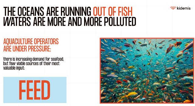 Kidemis AG - startup.ch